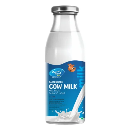 Best Pure & Fresh Cow Milk in Panvel | Natives Fresh Milk Panvel